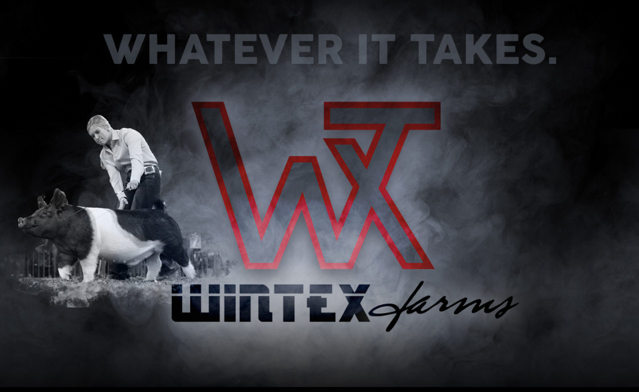 Home • Wintex Farms